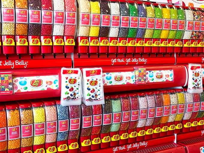 Jelly Belly's rainbow of flavors organized like a candy scientist's dream laboratory, minus the safety goggles and boring parts.