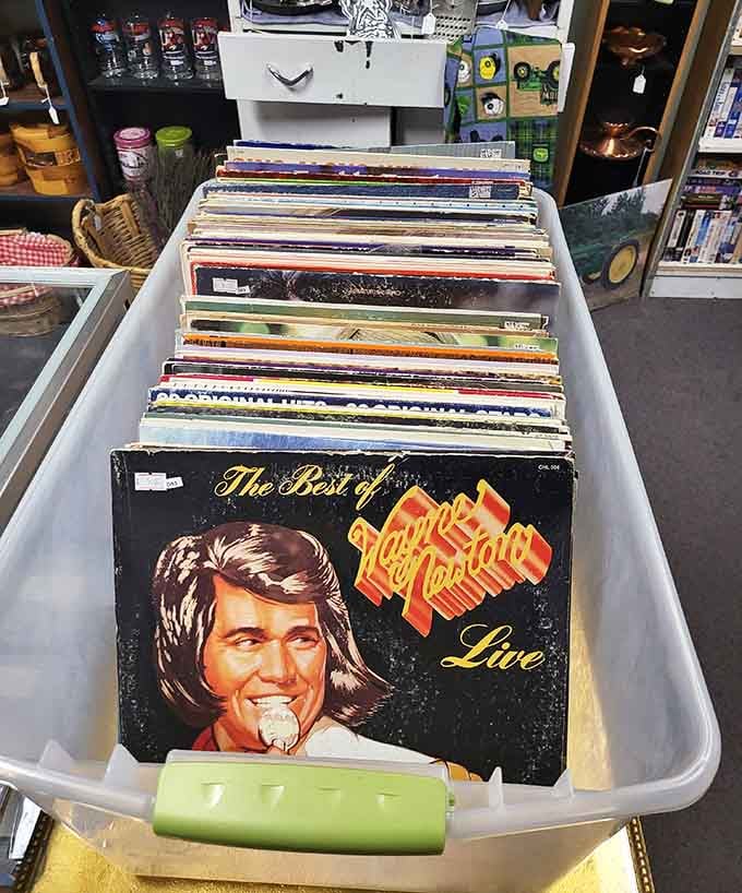 Vinyl records waiting to be rediscovered, because some music just sounds better when it comes with a little crackle.