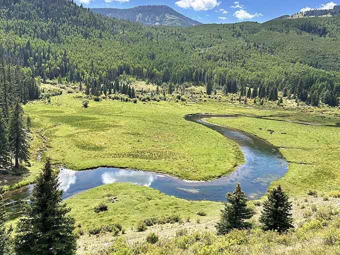 Elk Creek meanders through green meadows like nature's own lazy river, reminding you why Colorado's beauty never gets tiresome.