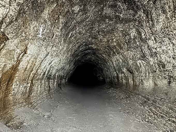 The tunnel stretches into pure darkness ahead, and somehow that makes it even more irresistible.