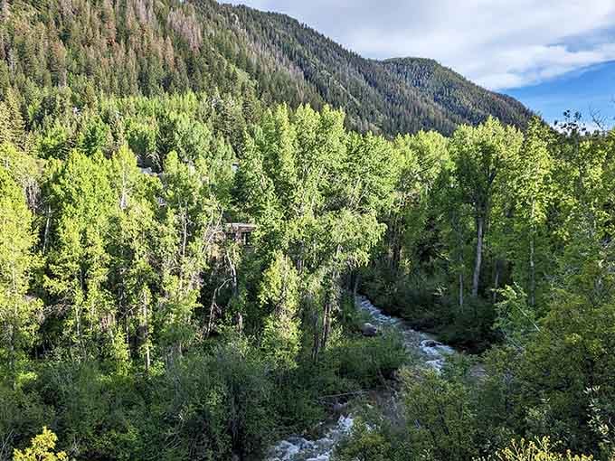 Castle Creek flows through green valleys where hiking trails wind beneath peaks that touch the Colorado sky.