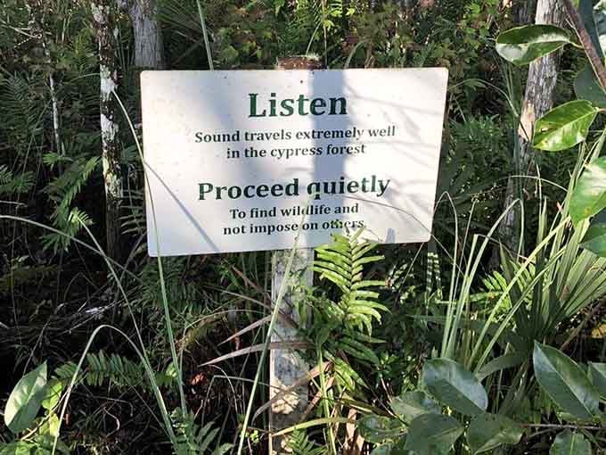 Gentle reminders to keep quiet ensure everyone gets to enjoy the wildlife without scaring away the performers.