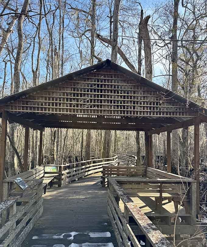 This covered pavilion offers the perfect spot to pause, breathe deeply, and soak in the symphony of bird calls.