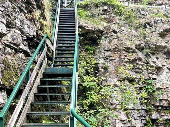 These stairs have seen more history than your average museum, leading down into 500 million years of stories.