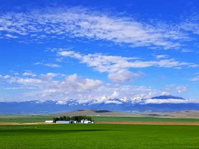 Farmland surrounds the town, keeping things grounded and grocery prices refreshingly reasonable for retirees.