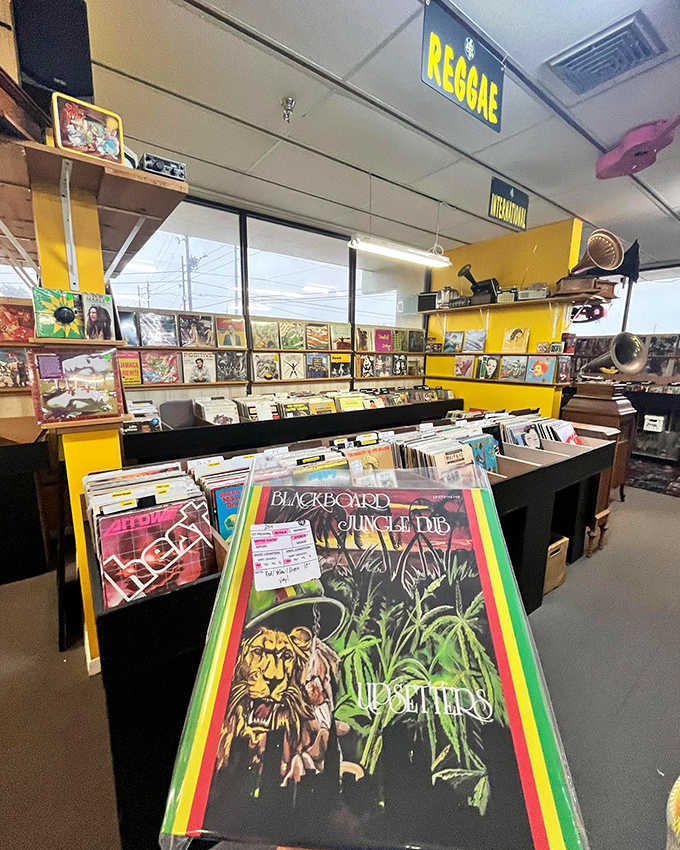 Bright yellow shelving marks the reggae section, where island rhythms wait to brighten your Florida day.