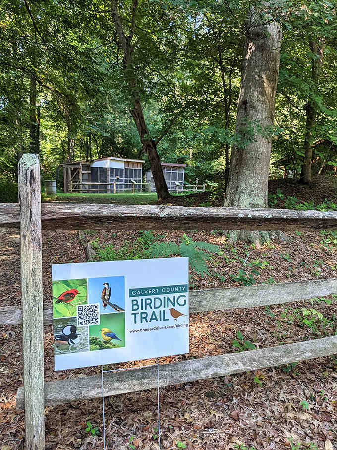 Bird watchers, bring your binoculars because this trail is basically an avian all-you-can-spot buffet.