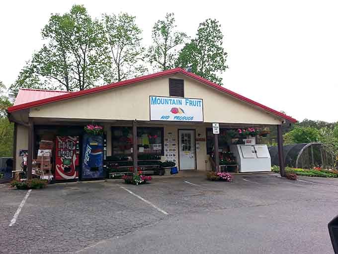 Mountain Fruit & Produce offers fresh local goods for those who prefer their food to travel miles, not thousands.