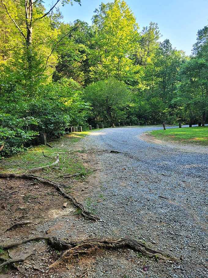 The gravel parking area where your adventure begins, and your car's suspension starts questioning your life choices today.