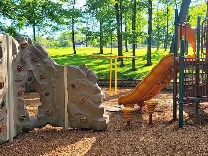 Governor's Park playground equipment looks like it was designed by someone who actually remembers what fun feels like, refreshingly.