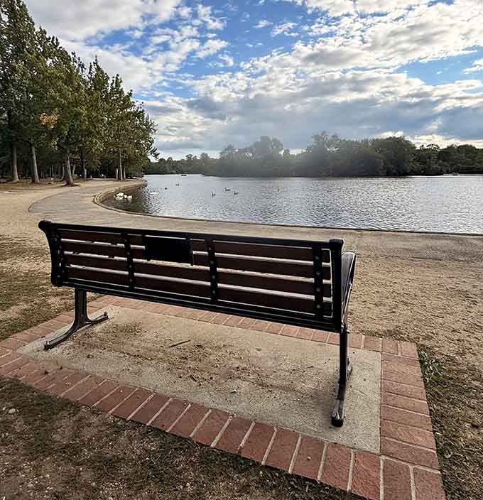 The perfect bench for contemplating life's mysteries or just watching the ducks do their thing.