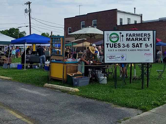 The farmers market where vegetables are fresher than your morning attitude and vendors actually know your name.