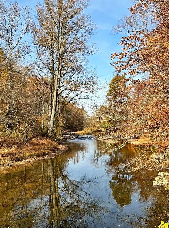 Fall foliage reflected in still water, because apparently one layer of autumn beauty just wasn't quite enough for nature.