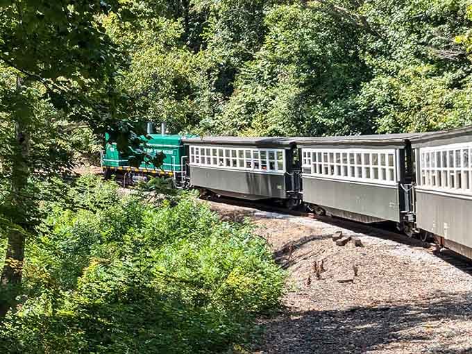 Watching the train curve through dense forest from your window seat is better than any nature documentary on television.