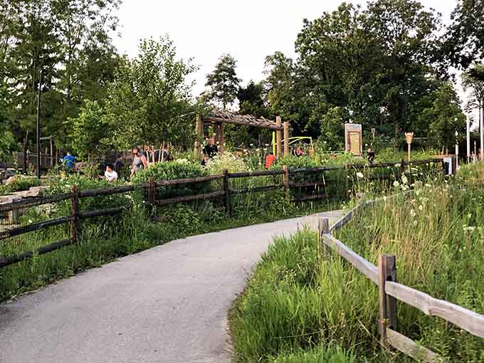 Pathways wind through native plantings, turning simple walks into nature lessons that happen without anyone realizing they're learning.