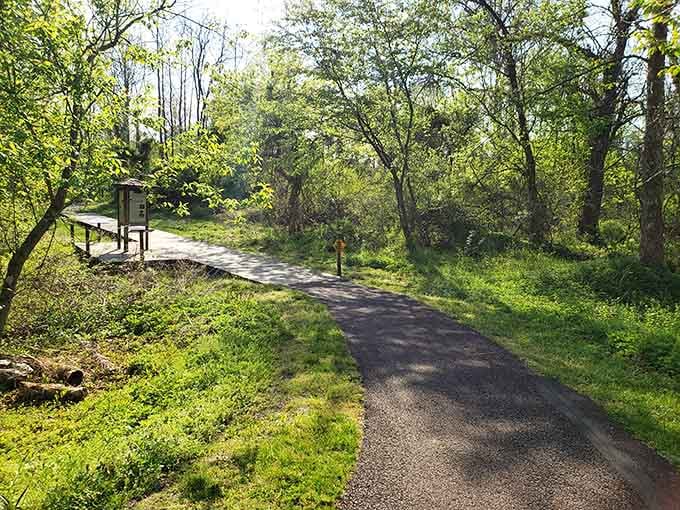 Smooth paths wind through the sanctuary, making it accessible for everyone who needs a nature fix today.