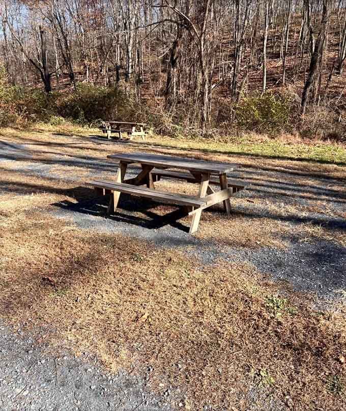 Pack a lunch and claim your picnic table, because adventures this good deserve a proper meal with mountain views.