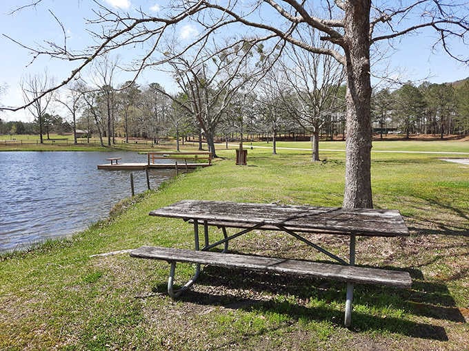 Picnic tables with a view beat any fancy restaurant patio, especially when you've packed your own legendary potato salad.