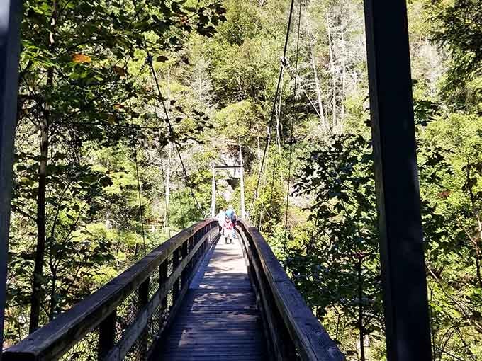 The suspension bridge offers views that'll make your heart race for reasons beyond just the height involved.