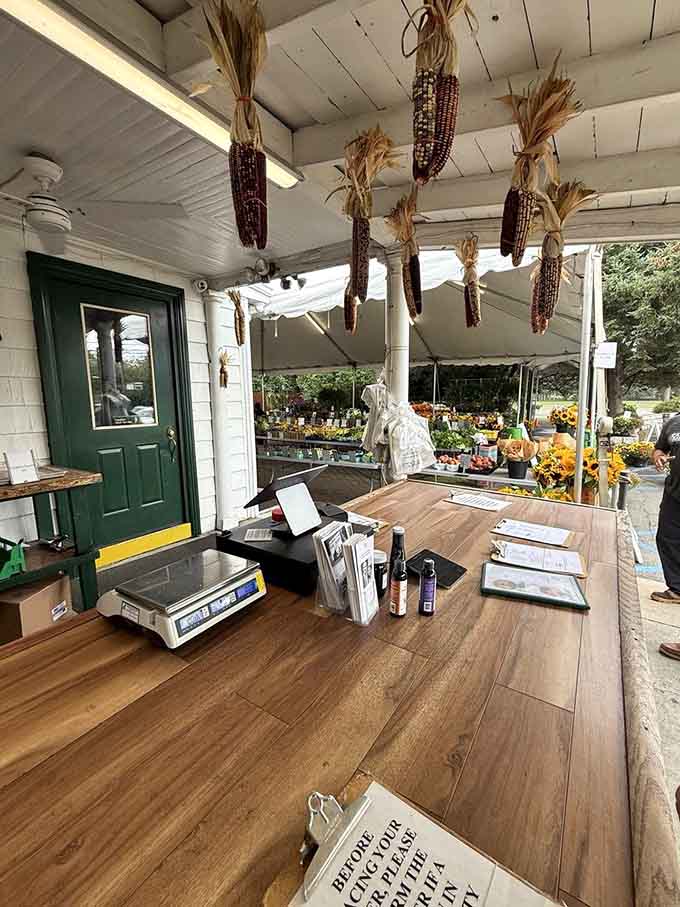 Decorative corn hanging from the rafters adds that authentic autumn farm charm you just can't fake in the city.