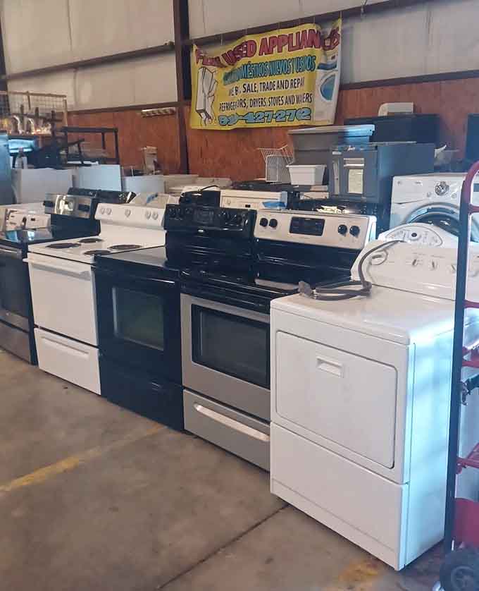 Kitchen appliances lined up like they're auditioning for a cooking show, and every one's got talent.
