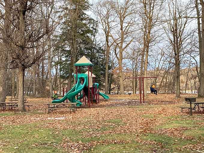 Even the playground gets its own peaceful corner, proving kids and tranquility can occasionally coexist in nature.