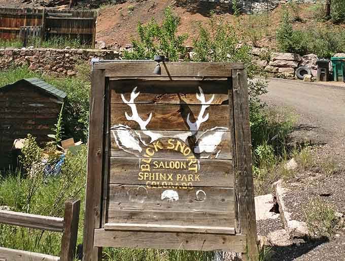 Even the roadside sign has antlers, because in Colorado, everything's better with a little wildlife flair added to it.