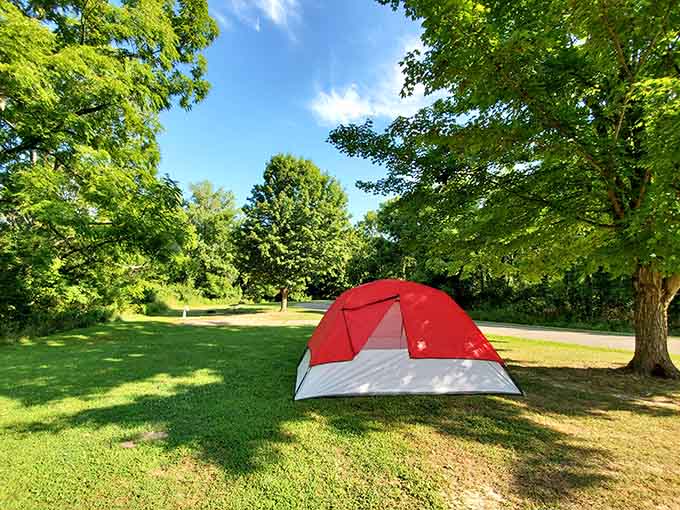 Pitch your tent under ancient trees and wake up ready to hunt for even older discoveries.