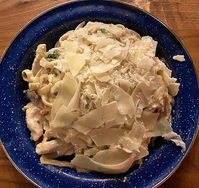 Creamy pasta topped with generous parmesan shavings on that signature blue camping plate. Comfort food meets the great indoors.