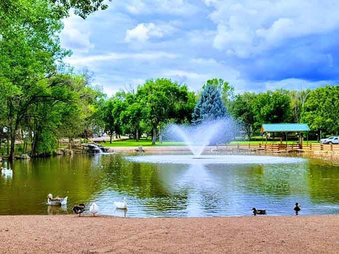Local parks provide family-friendly recreation that won't drain your wallet faster than a teenager with unlimited data.