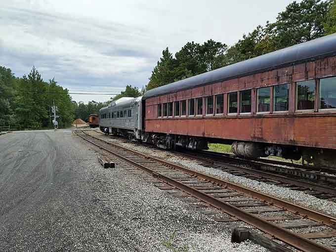 Multiple passenger cars waiting on the tracks, each one a portal to a slower, more scenic era.
