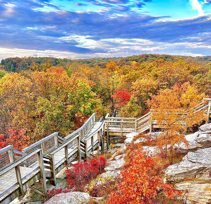 Autumn exploding in technicolor glory from those observation platforms, making you wonder why anyone bothers with Vermont foliage tours.