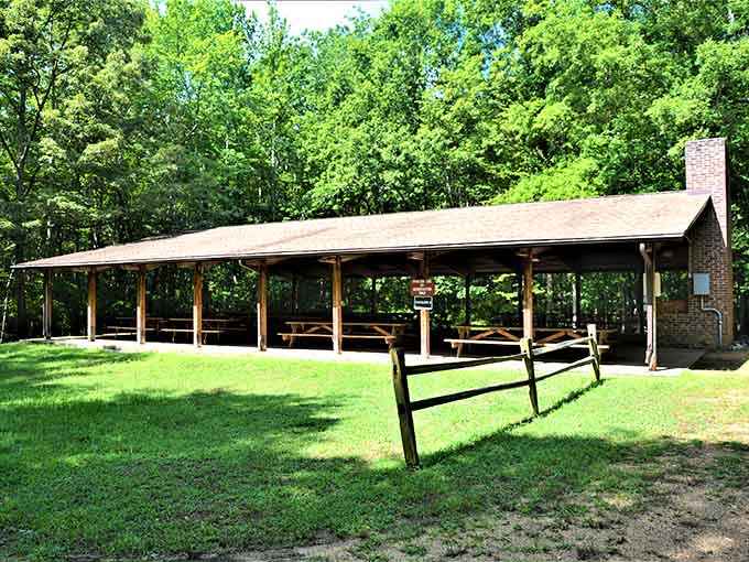 A covered pavilion provides shelter for gatherings, because sometimes nature appreciation requires a roof overhead.