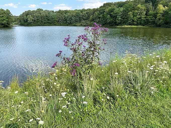 Wildflowers frame the tranquil lake where nature puts on a show that requires no ticket, just your presence and attention.