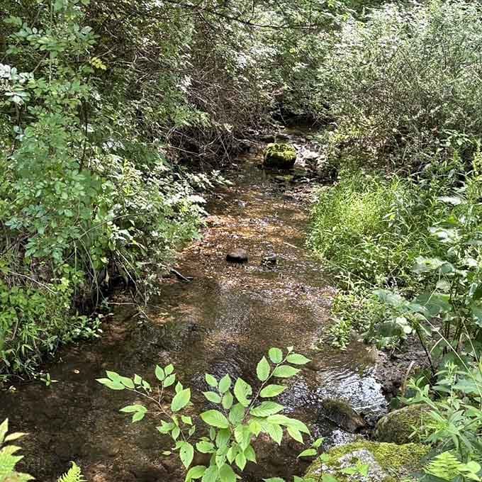 Babbling brooks provide the soundtrack to your woodland escape, better than any playlist.