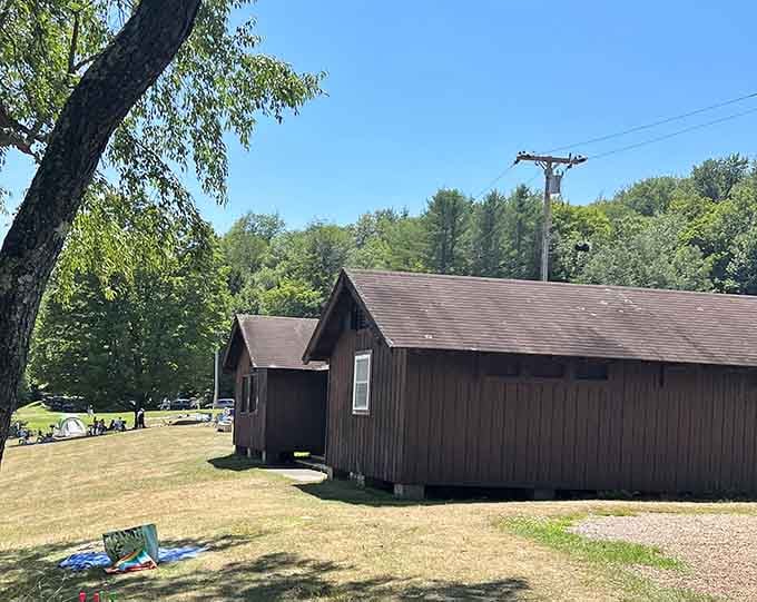 Cabins offering that sweet spot between roughing it and actually having walls and a roof.