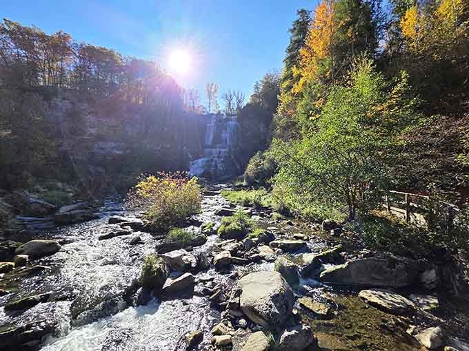 Autumn sunshine illuminates the gorge like a Hollywood cinematographer finally got to work on a nature documentary.