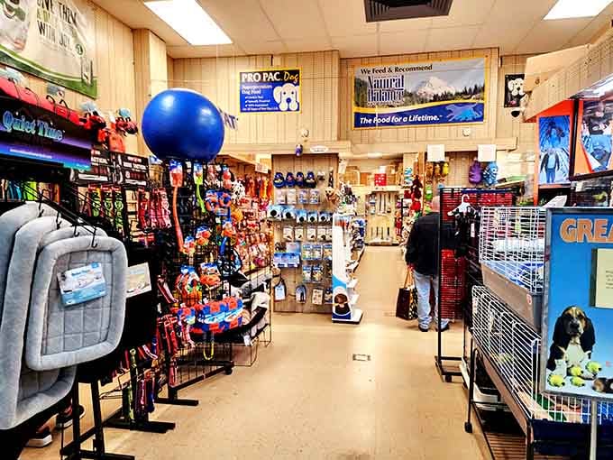 Pet supplies galore for the furry family members who deserve spoiling just as much as the human ones.