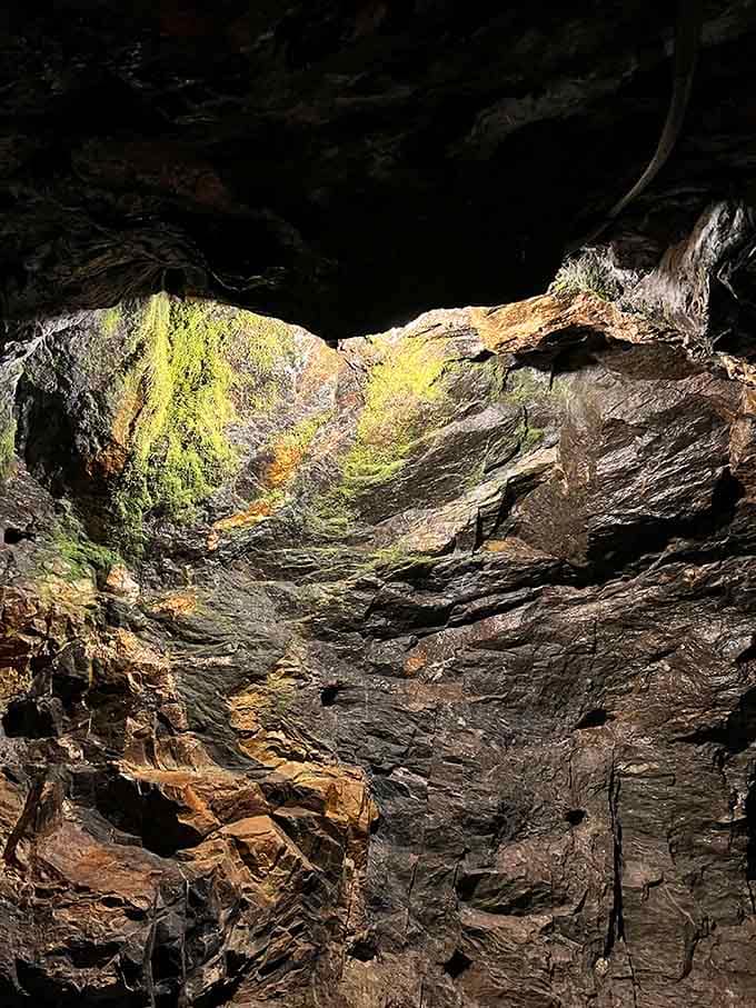 Natural light filters through an opening above, creating an almost cathedral-like atmosphere in the underground chamber.