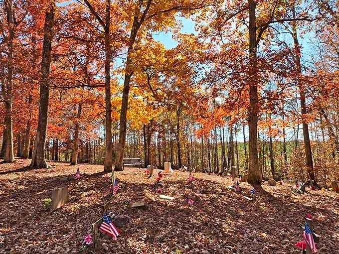 Autumn transforms the cemetery into a masterpiece of orange and gold, nature's way of honoring these faithful companions with beauty.
