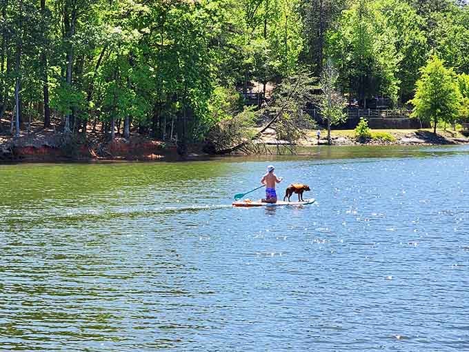 Paddleboarding with your pup: living the lake life one wobbly stroke at a time.