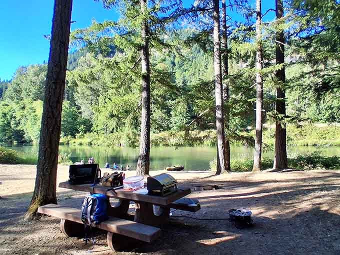 Schwarz Campground at Dorena Lake offers picnic tables with water views that cost exactly zero dollars to enjoy all day.