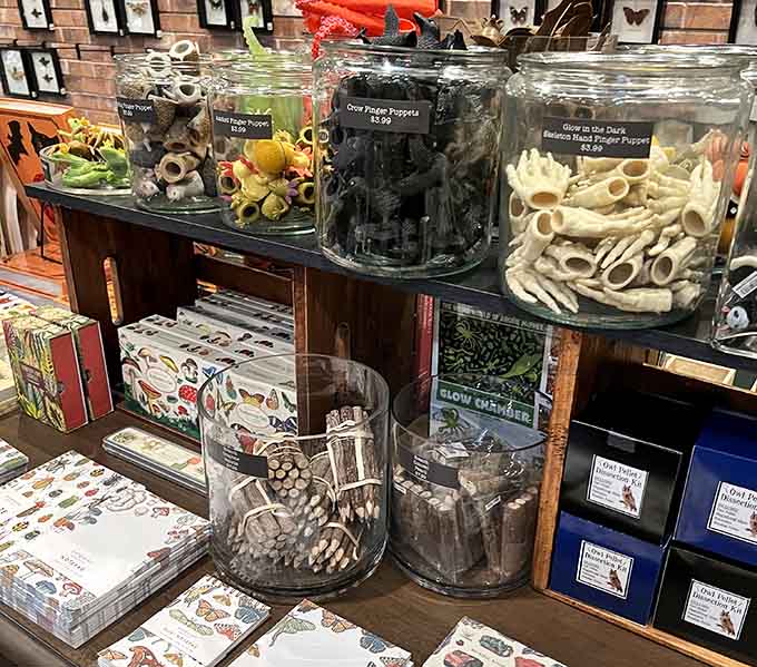 Educational kits and novelty items prove that learning about nature doesn't require sacrificing your sense of fun.
