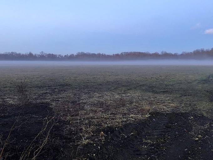 Early morning fog rolling across the fields creates an atmosphere so moody it could star in a mystery novel.