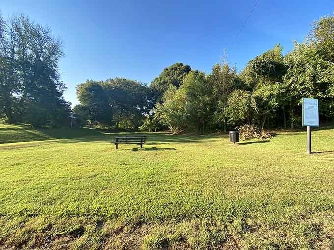 Golden hour bathes this peaceful park bench in warm light, offering the perfect spot for contemplation or people-watching.