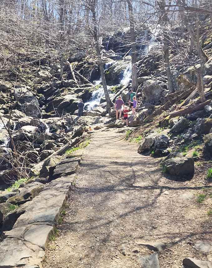 That first glimpse of the waterfall through the trees is like getting a movie spoiler, except you're actually happy about it.