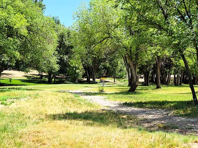 Tree-covered parks provide shade and serenity for families who want outdoor space without fighting for it.