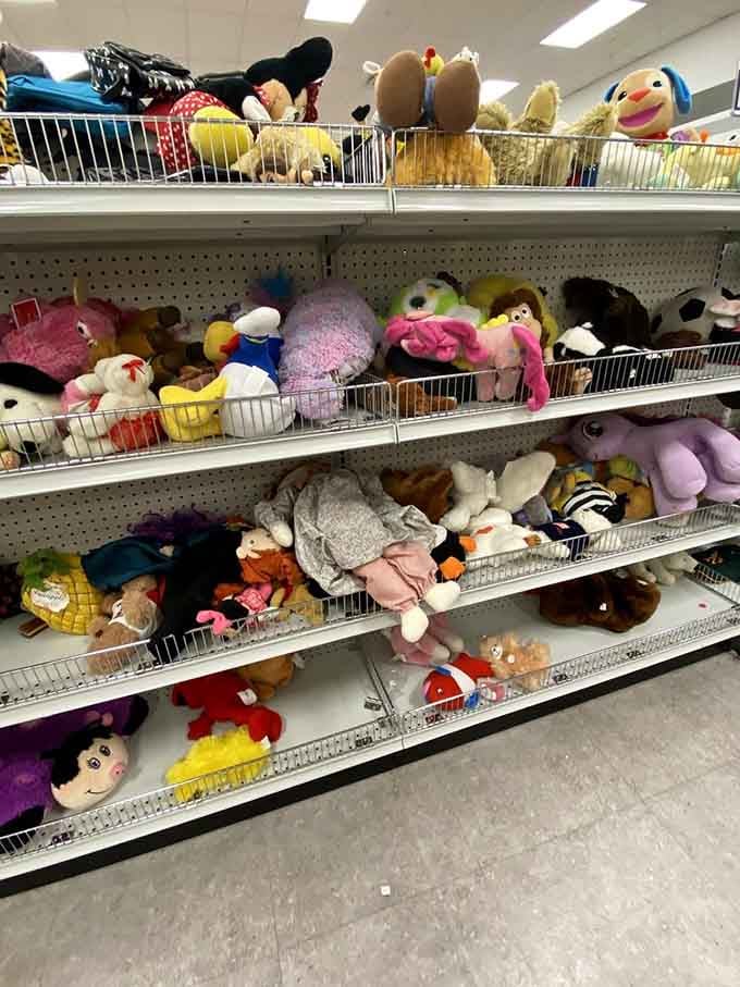 Stuffed animals waiting for second chances at bringing joy, because everyone deserves a comeback story.