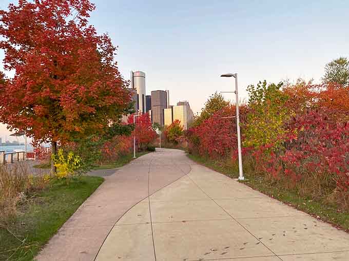 Fall foliage frames the Detroit skyline in nature's most spectacular color palette of reds and golds.
