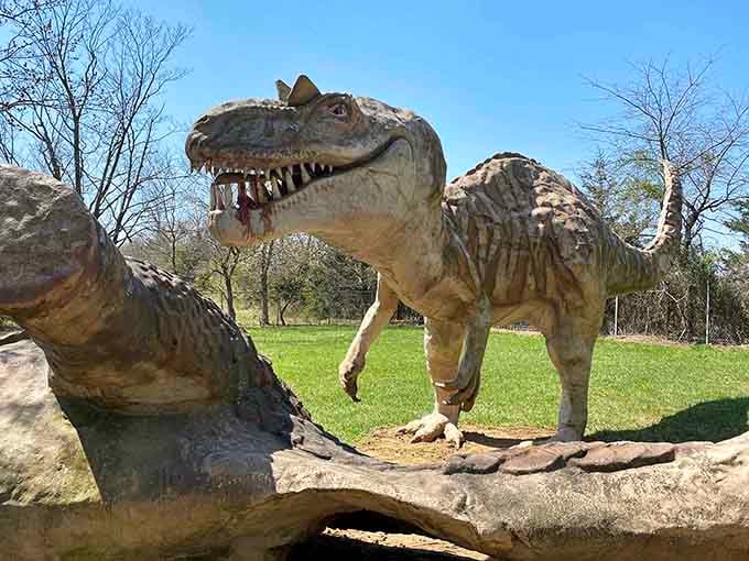 The Allosaurus perches menacingly on its rock, ready to photobomb every family picture taken from this angle.
